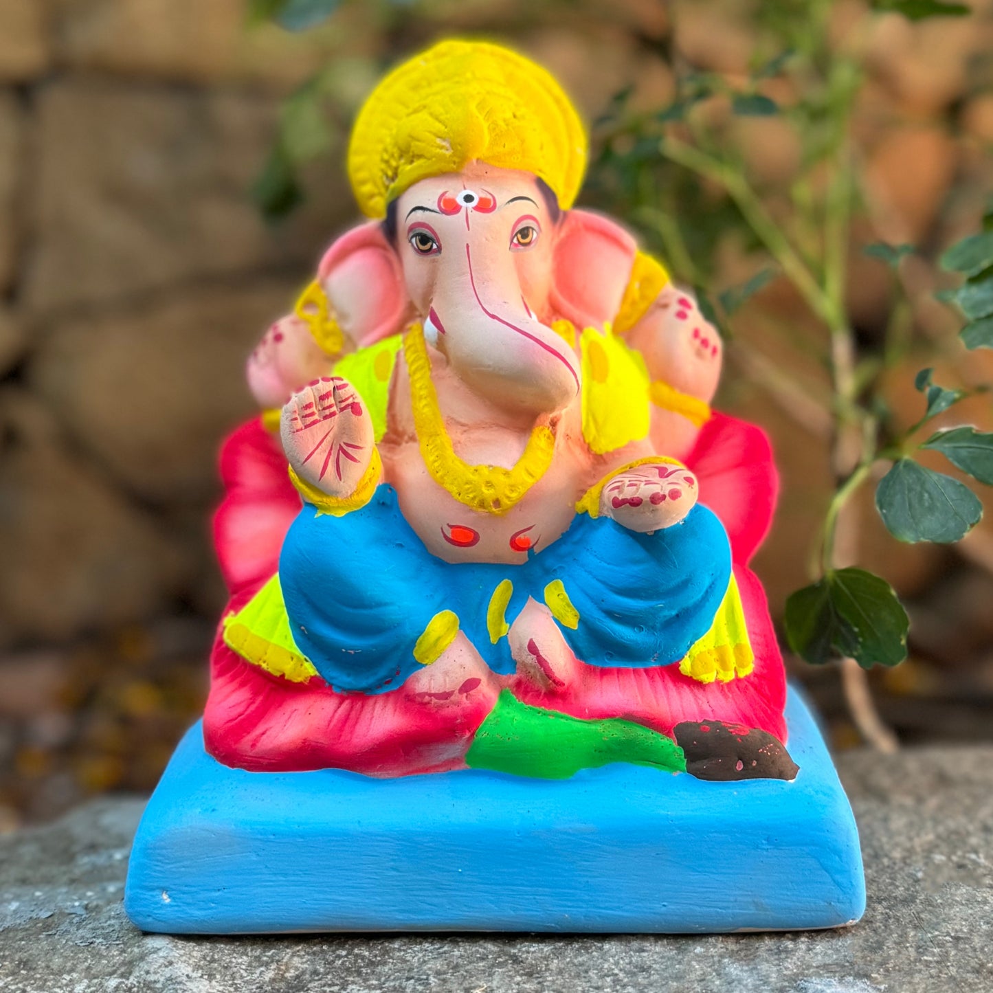 7" Jaswant phool no 20 CM – Dhaanifoods